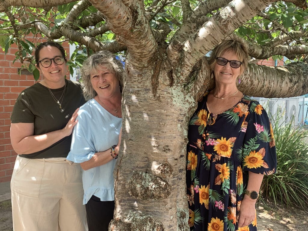 School Staff Profiles – PBS